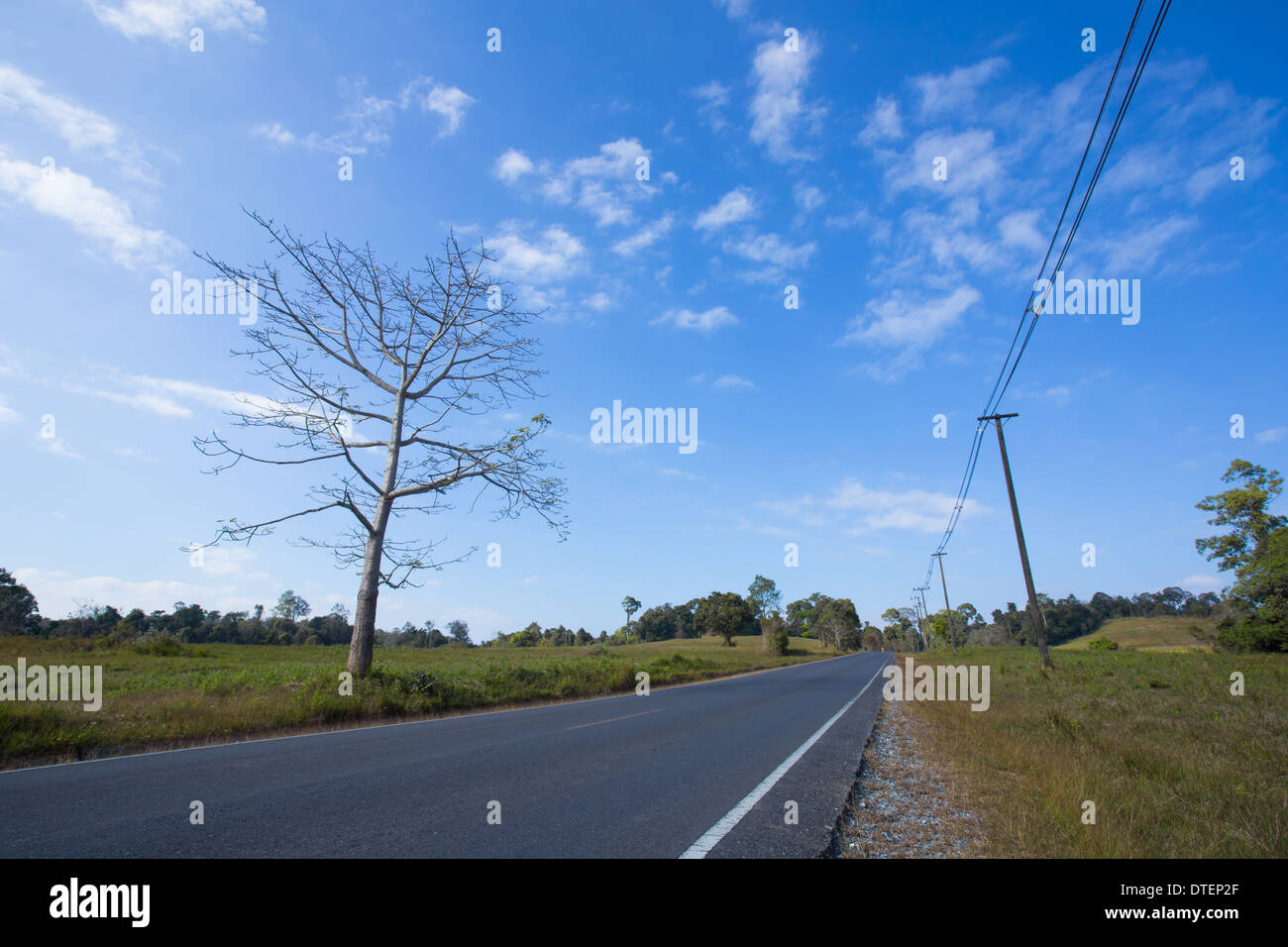 empty road, clear sky and empty road in the forest with wide field ...
