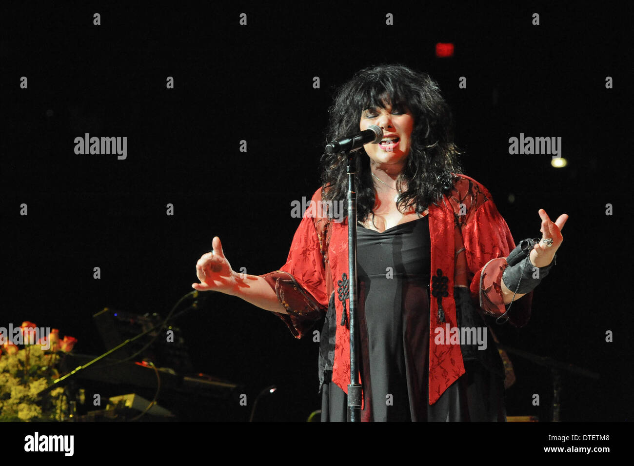 Texas, USA. 14th Feb, 2014. Vocalist Ann Wilson of Heart performs in ...