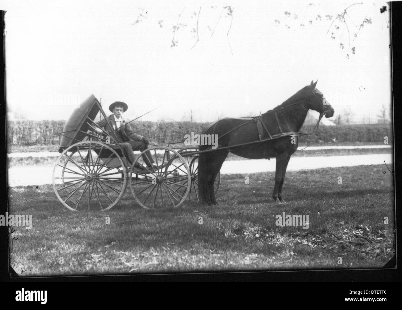 Man in horse drawn carriage hi-res stock photography and images - Alamy