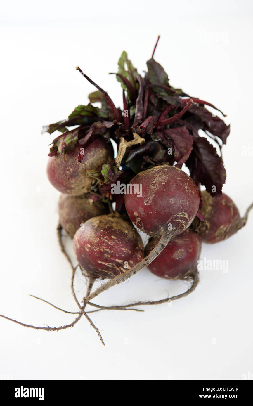 Beetroot on a white background Stock Photo - Alamy
