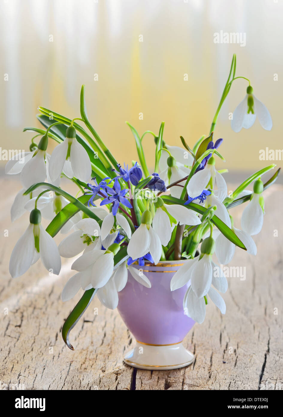 Beautiful bouquet snowdrops in a vase on woody background Stock Photo ...