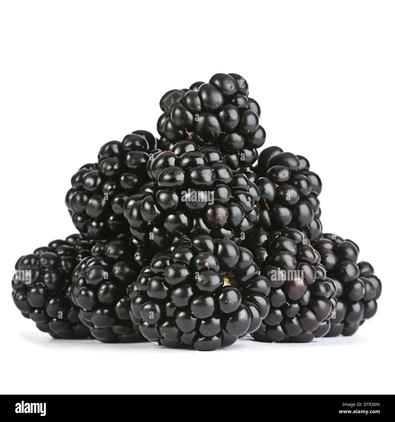 Blackberry fruit isolated hi-res stock photography and images - Alamy