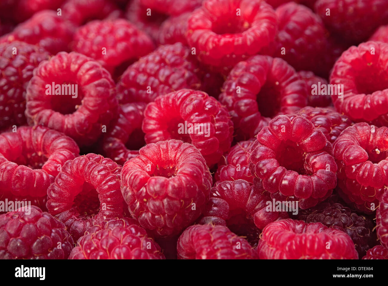Raspberry photography hi-res stock photography and images - Alamy