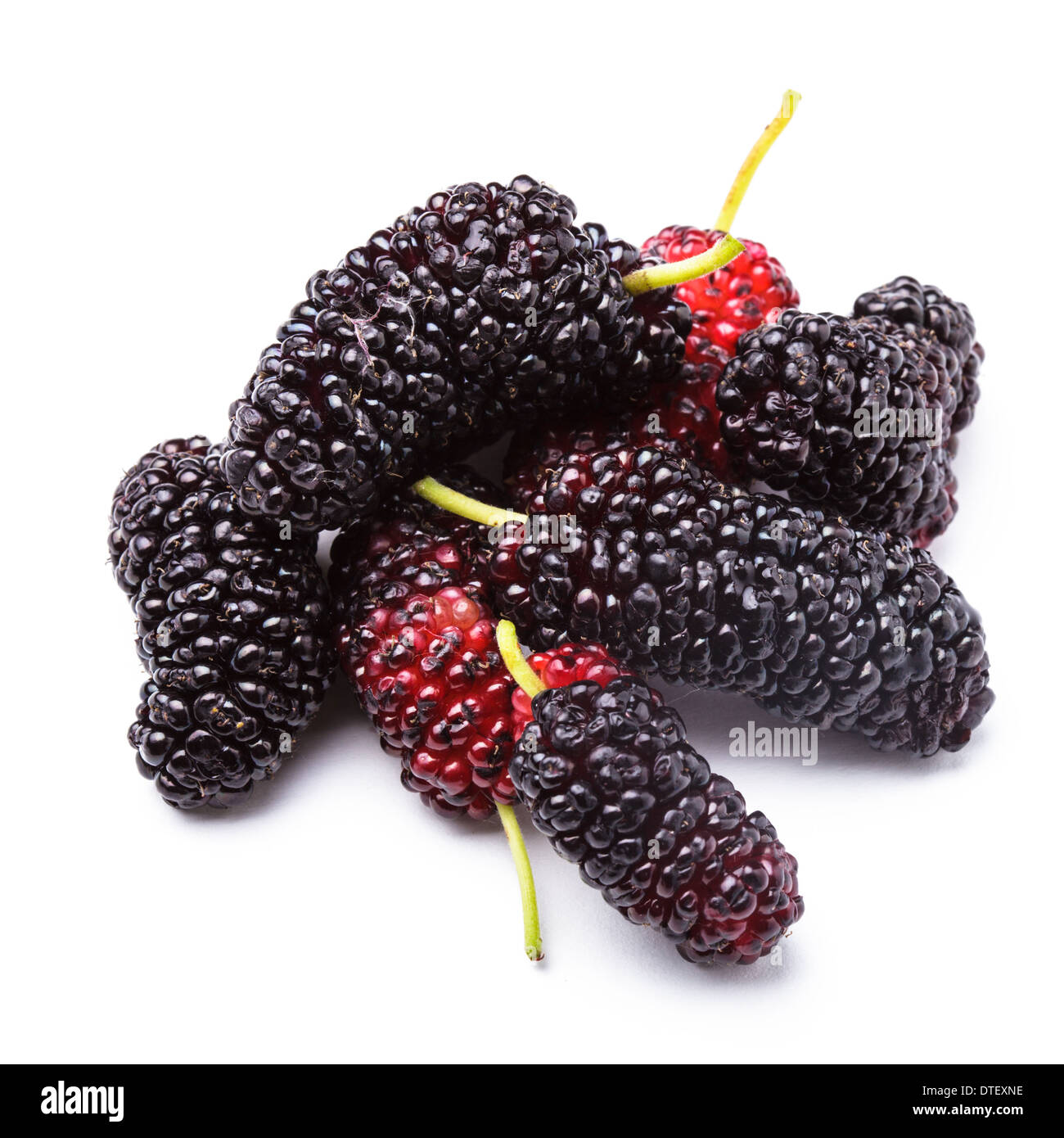 Mulberry berries close up on white background Stock Photo - Alamy