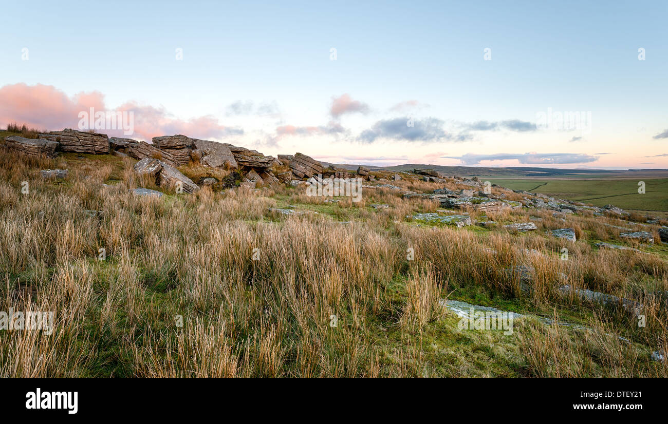 Alex cornwall hi-res stock photography and images - Alamy