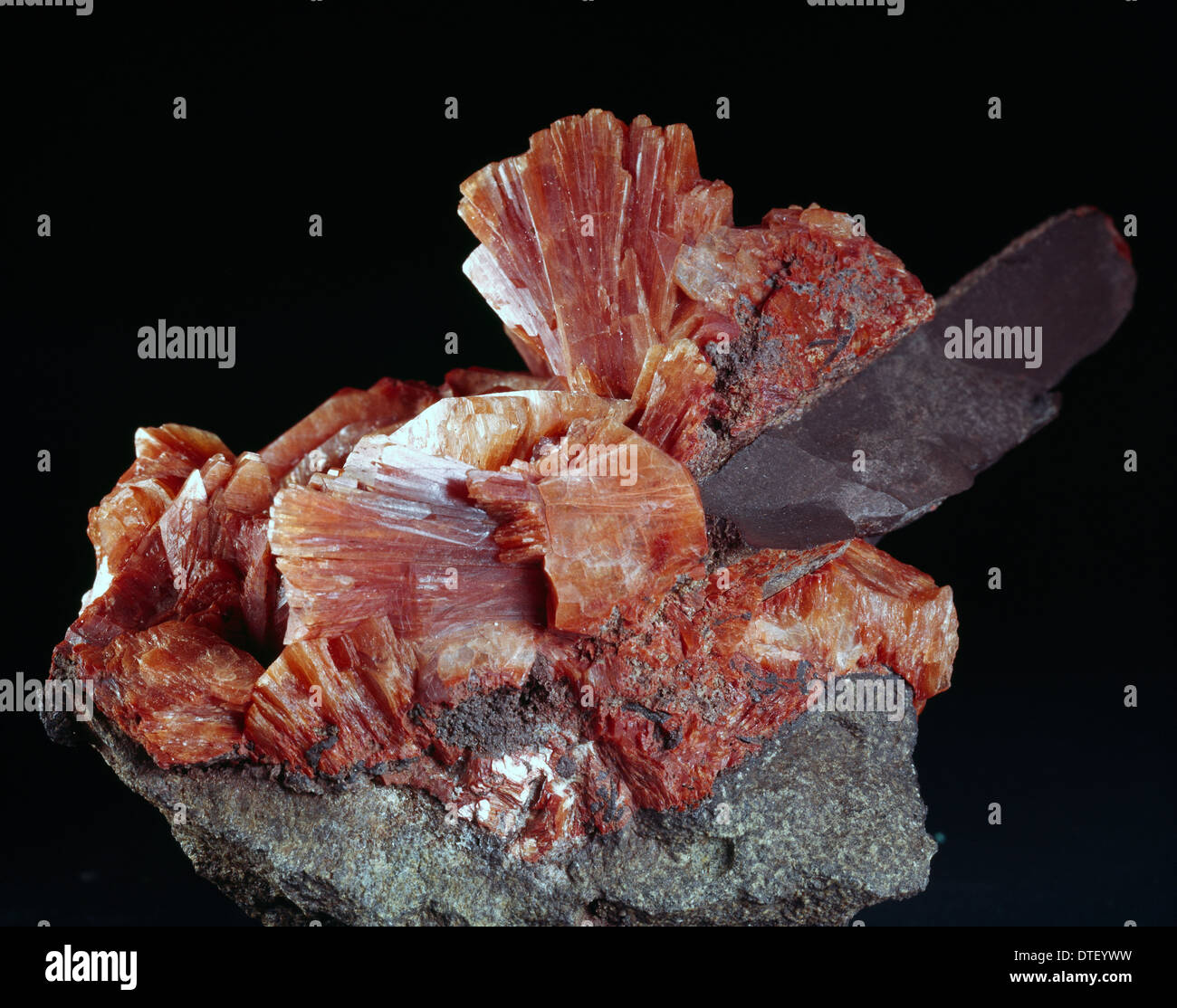 Calcium silicate mineral hi-res stock photography and images - Alamy