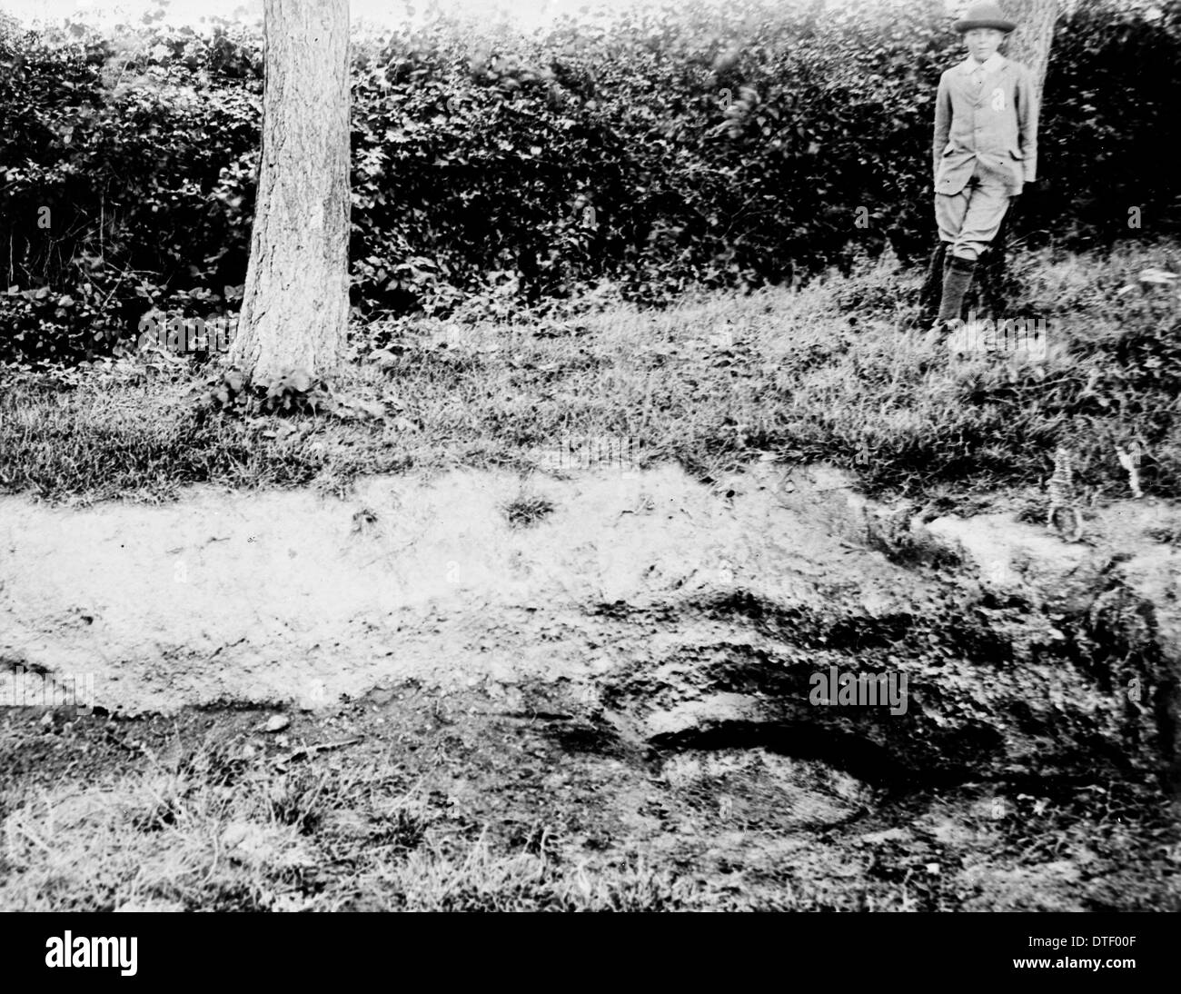 The Piltdown man excavation site Stock Photo - Alamy