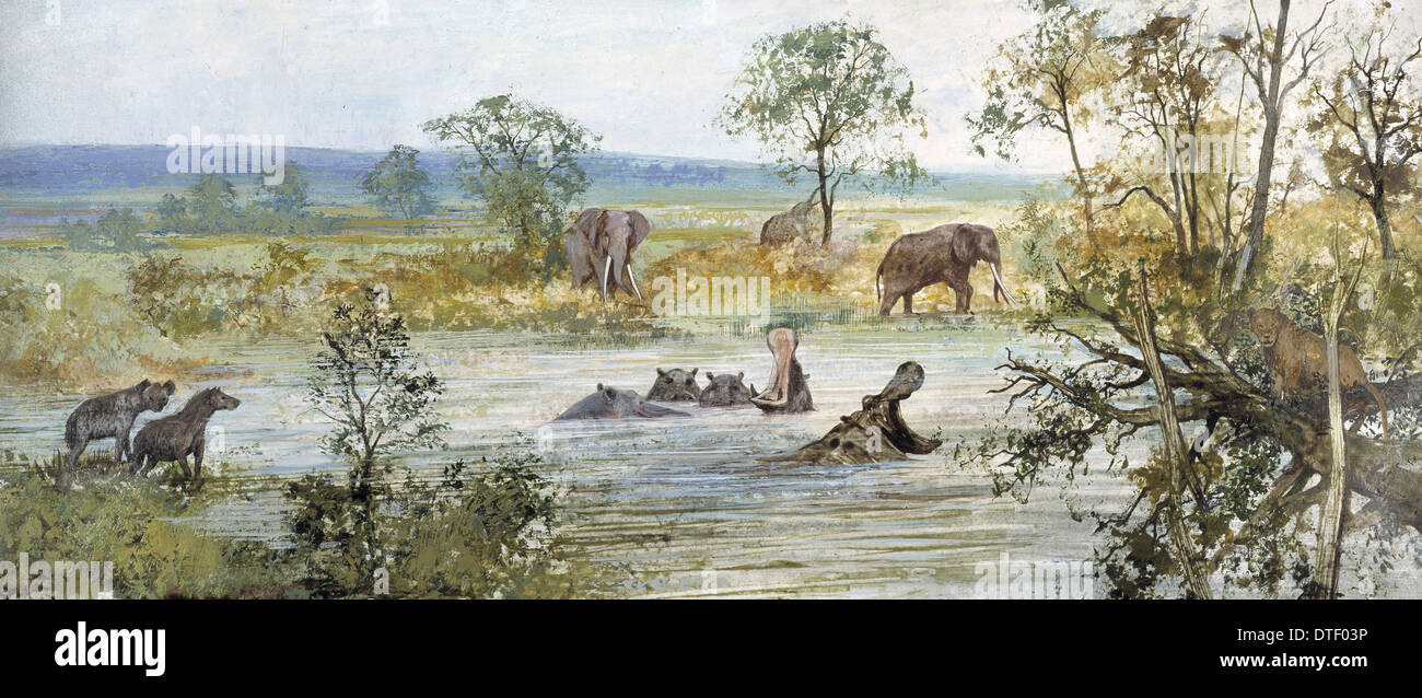 Interglacial landscape hi-res stock photography and images - Alamy