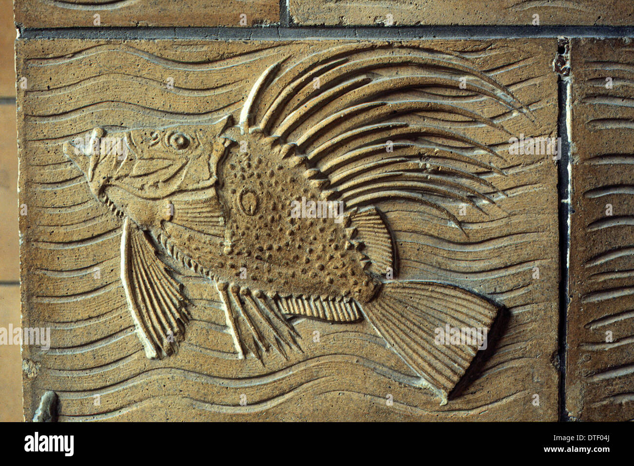 Detail of terracotta moulding of a fish in the Waterhouse Building ...