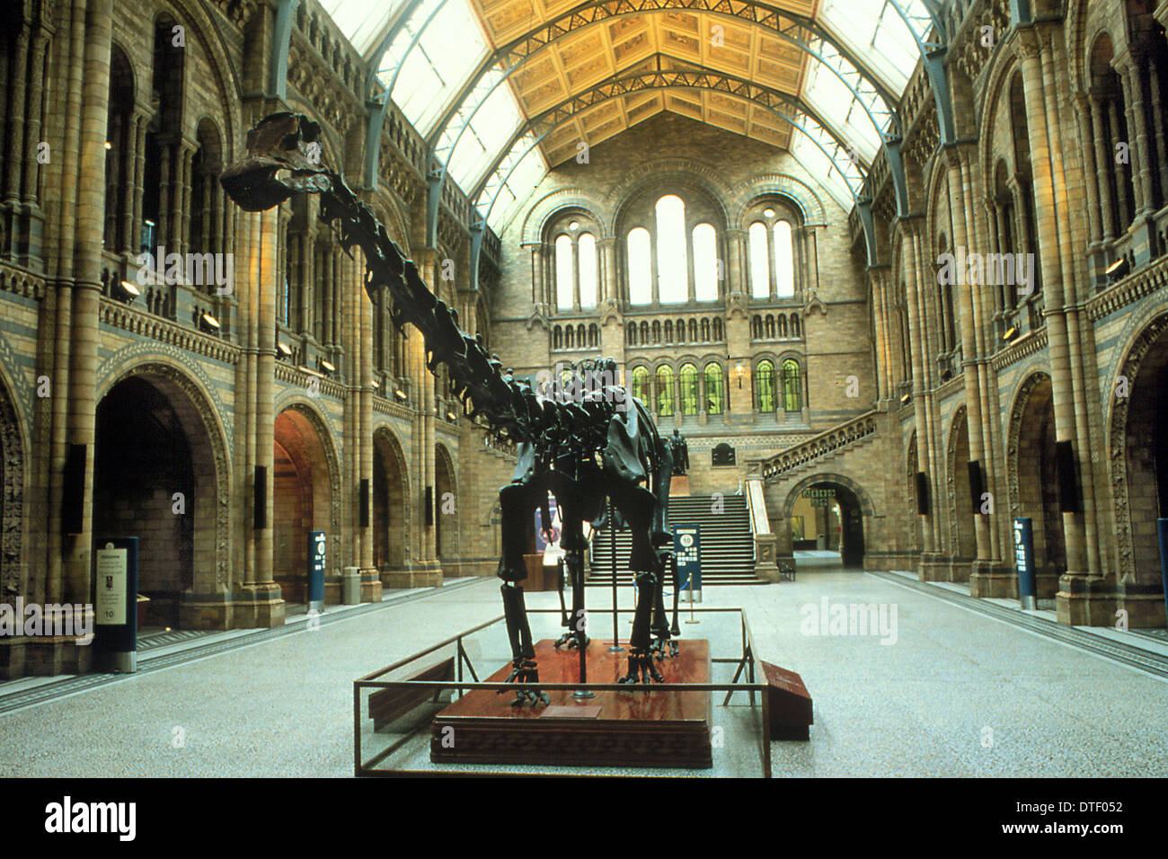 Anatomy hall hi-res stock photography and images - Alamy