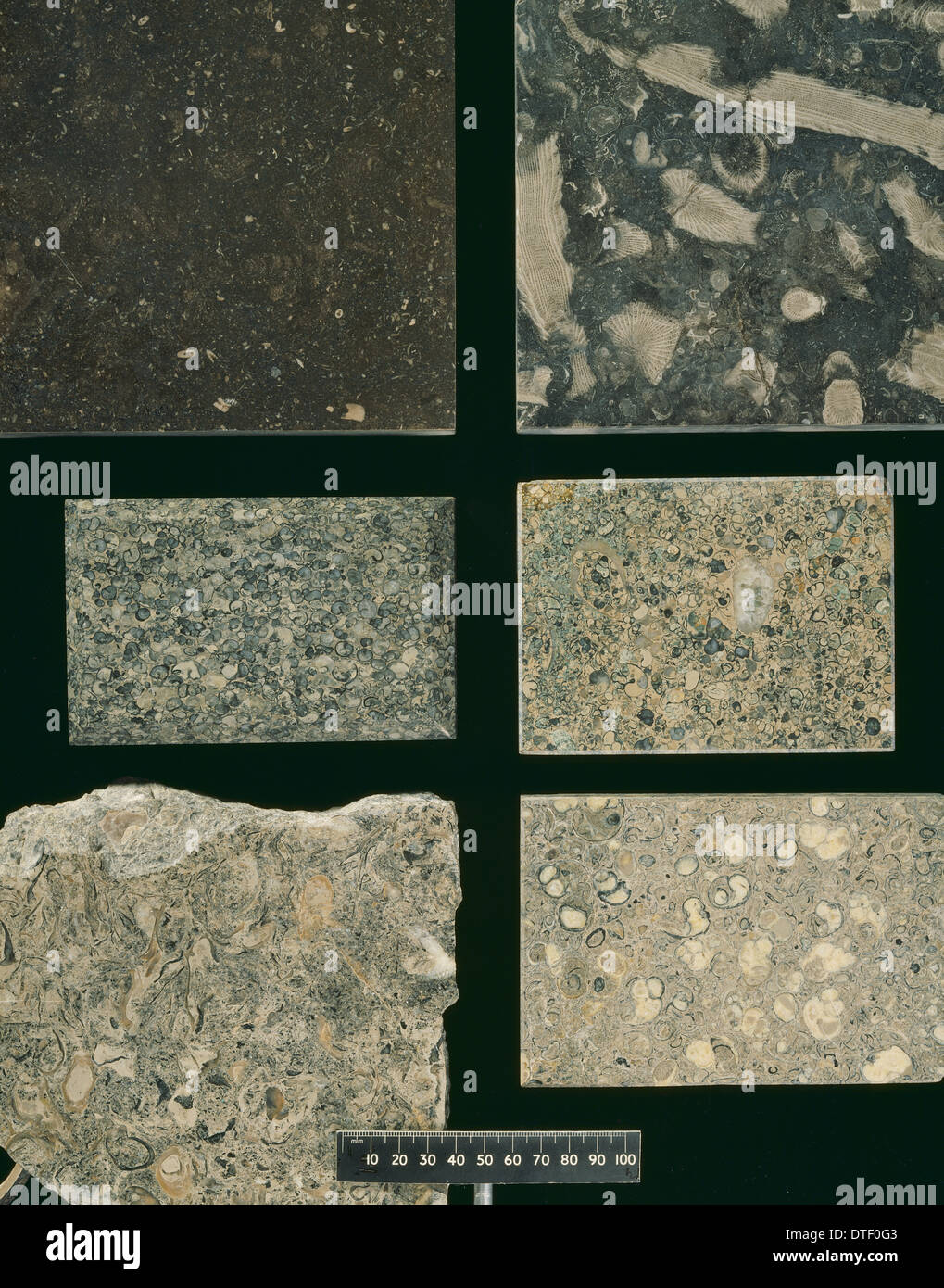 Marble rock specimen hi-res stock photography and images - Alamy