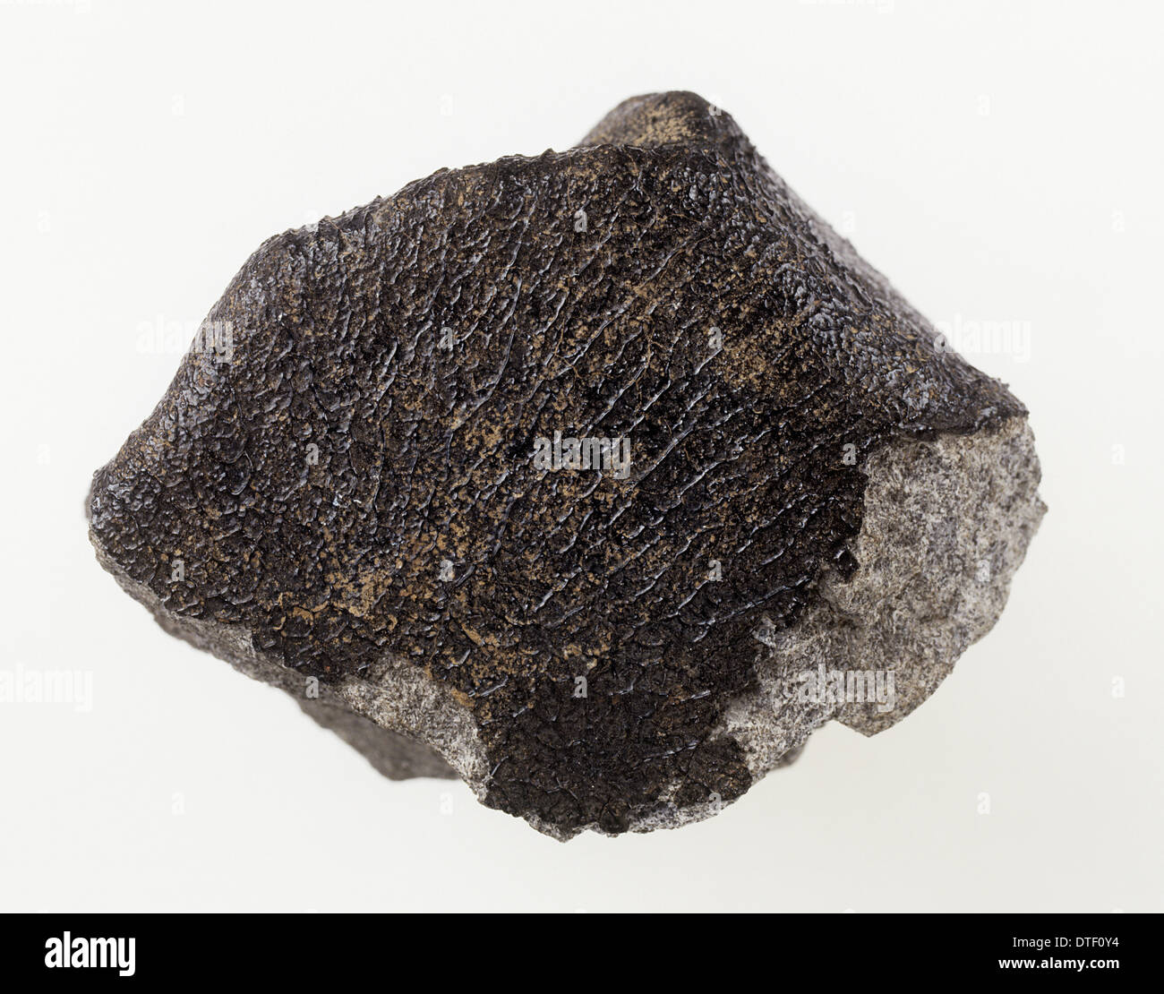 Meteorite rock hi-res stock photography and images - Alamy