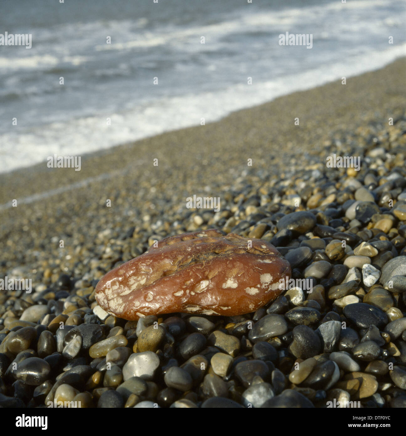 Amber on a Norfolk beach Stock Photo - Alamy