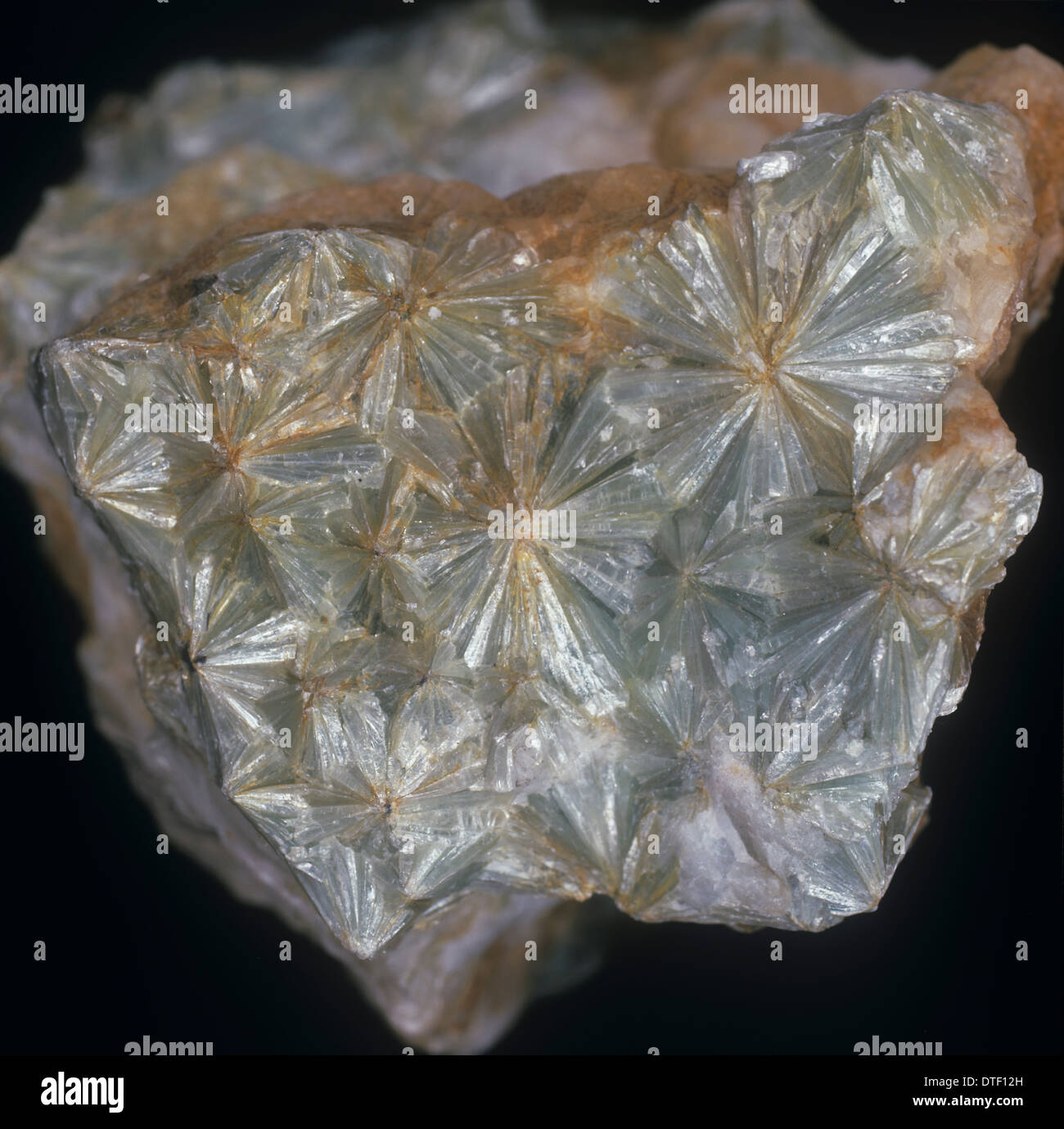 Pyrophyllite hi-res stock photography and images - Alamy