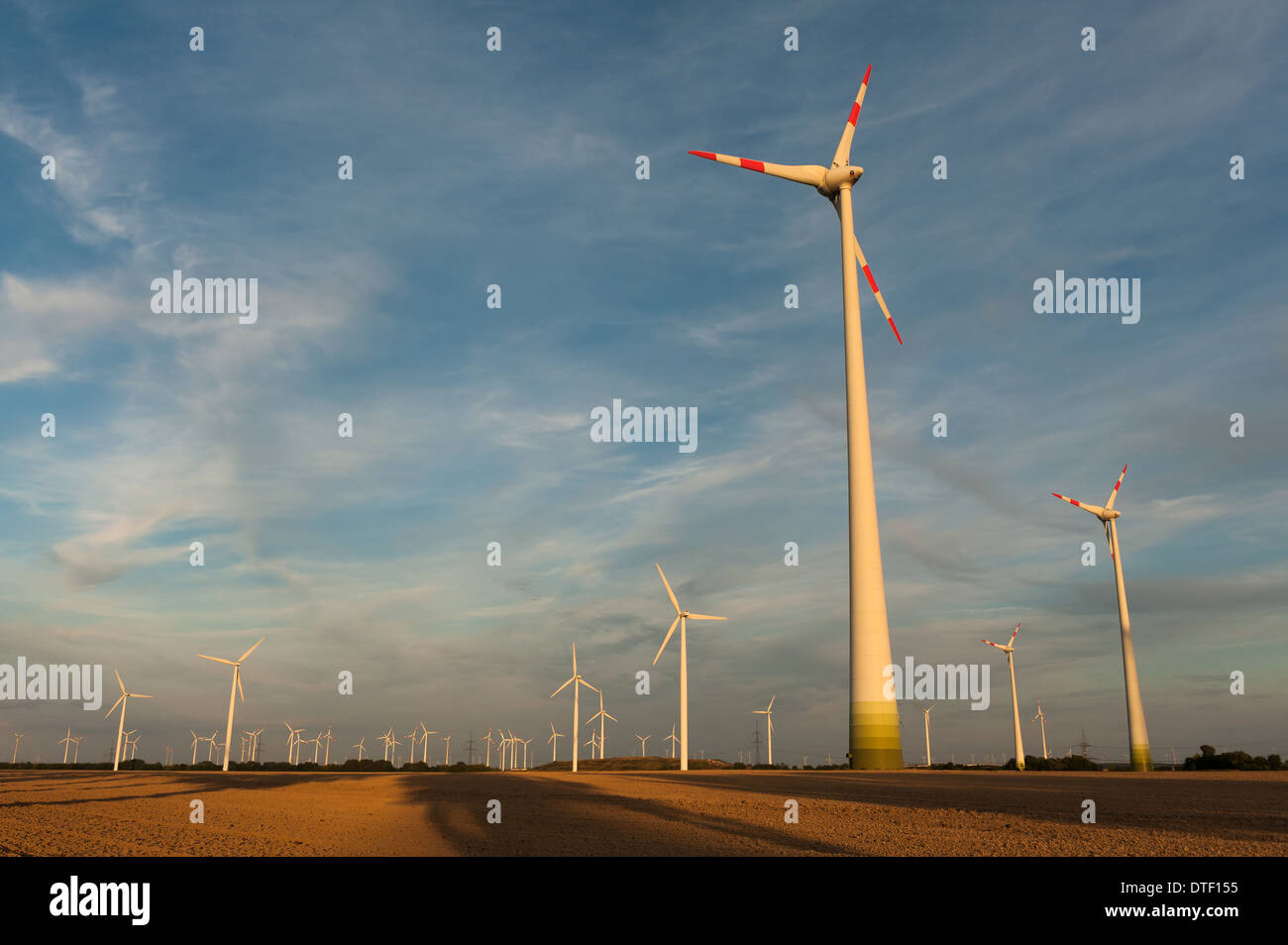 Nauen, Germany, Windraeder on a field in the evening sun Stock Photo ...