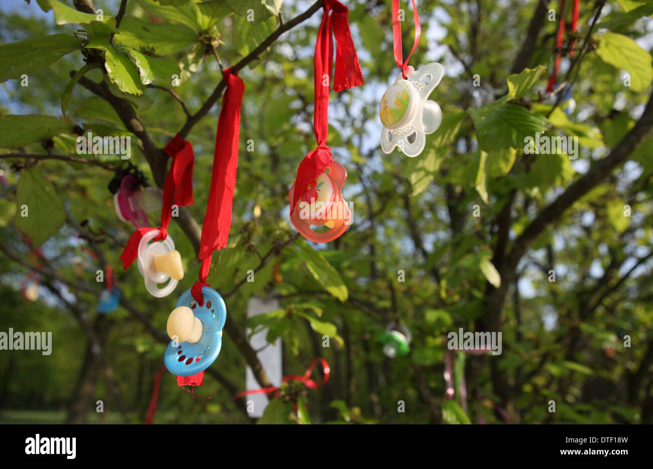 Berlin, Germany, a pacifier pacifier tree Stock Photo - Alamy
