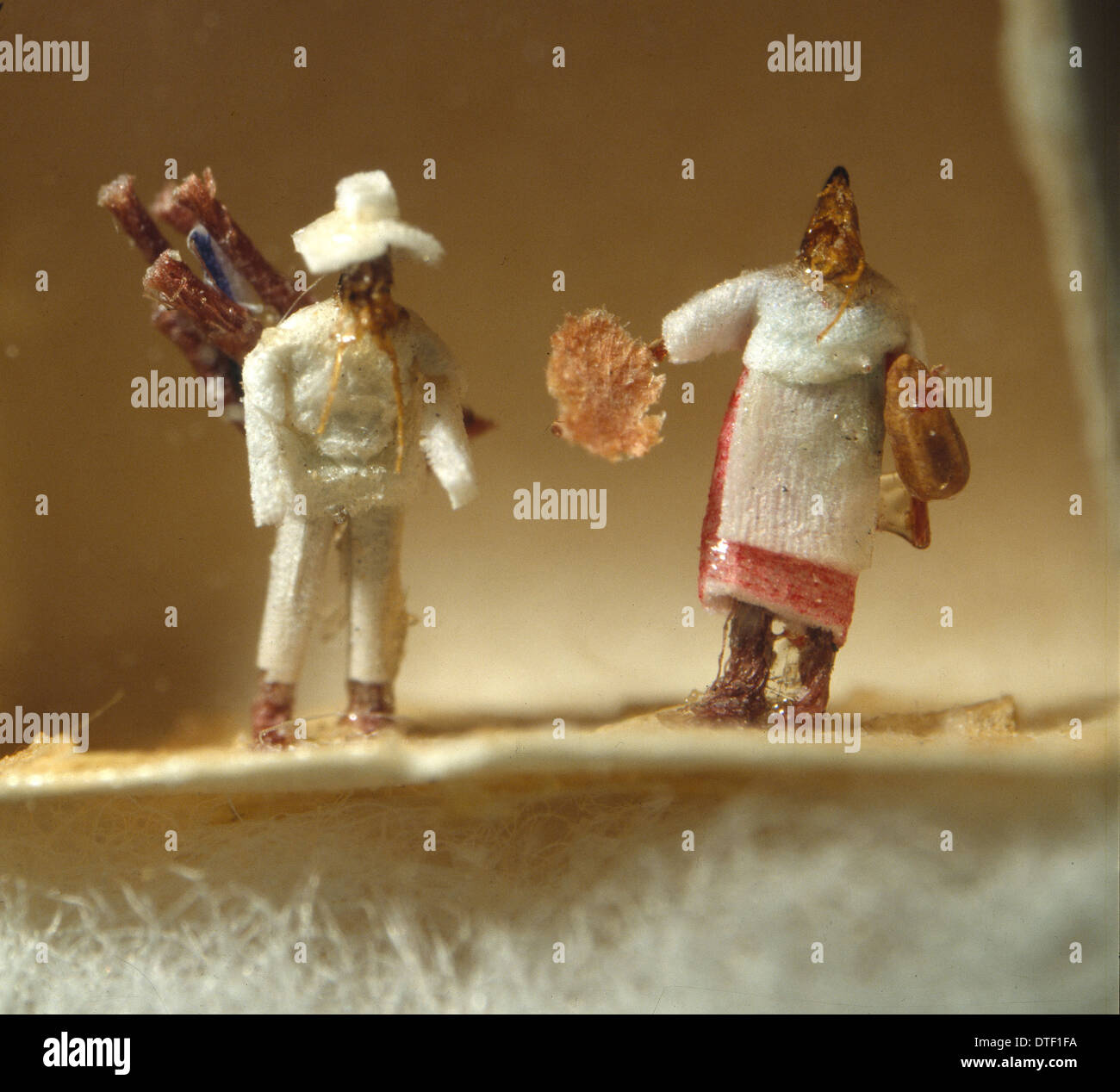 Fleas insect flea insect hi-res stock photography and images - Alamy