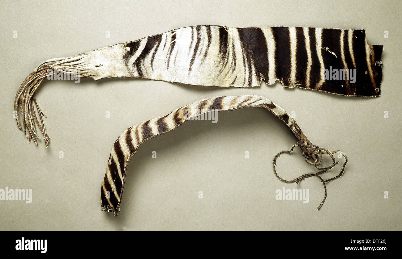 Sir harry johnston okapi hi-res stock photography and images - Alamy