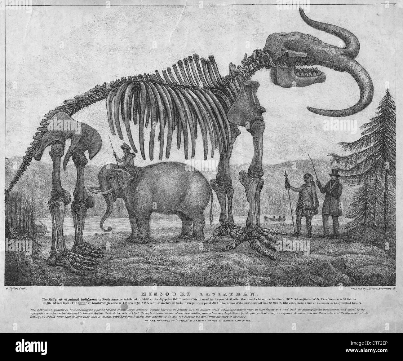 Leviathan hi-res stock photography and images - Alamy