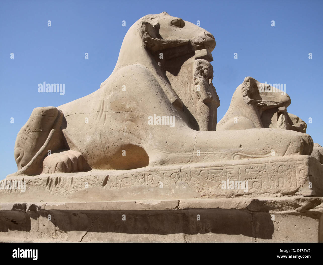 low angle shot of some ram-headed Sphinxes made of stone in Egypt Stock ...