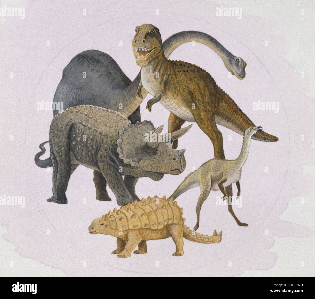 Sauropoda dinosaurs hi-res stock photography and images - Alamy
