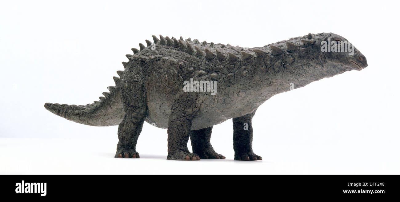 Scelidosaurus hi-res stock photography and images - Alamy