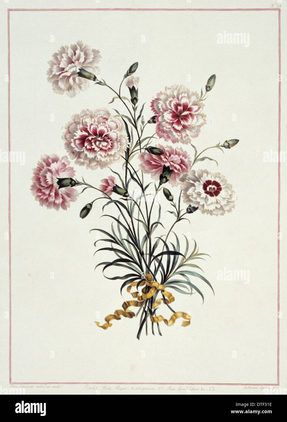 John edwards flowers hi-res stock photography and images - Alamy