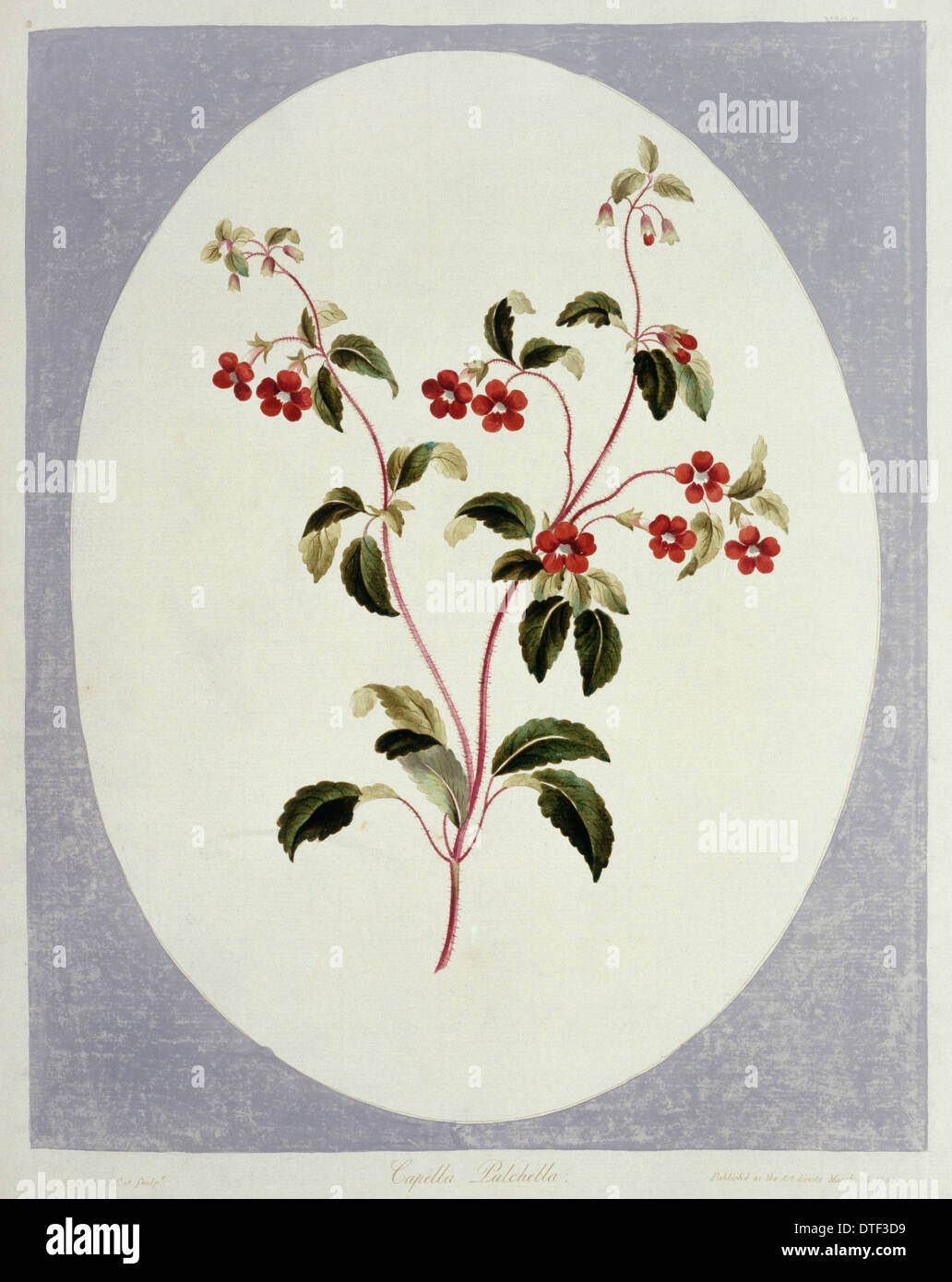 Folio 66 hi-res stock photography and images - Alamy