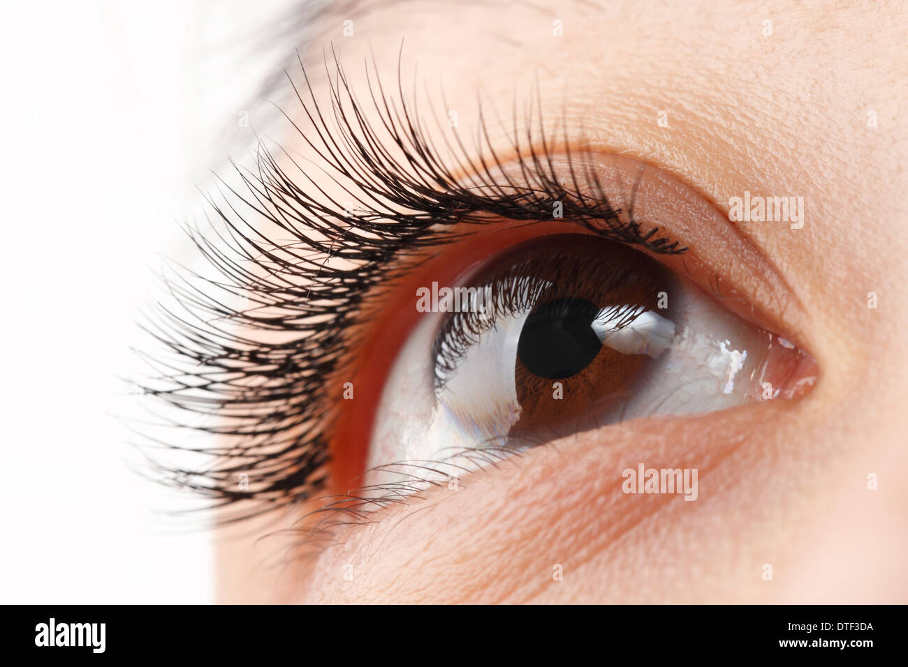 Asian female closeup hi-res stock photography and images - Alamy