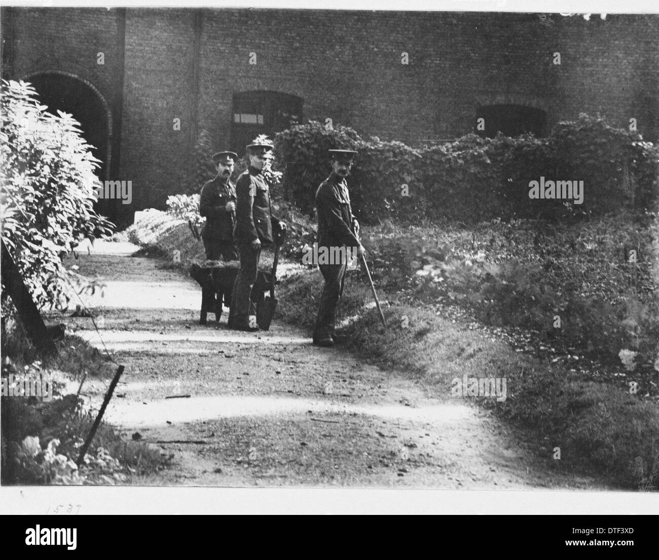 Soldiers in grounds, 1917 at the Natural History Museum, London Stock ...