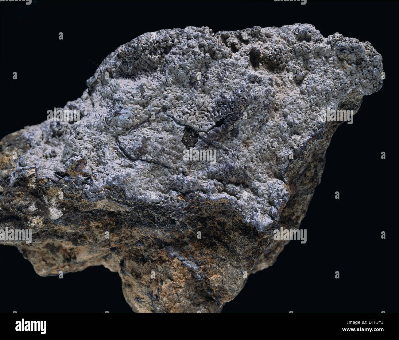 Silver halide hi-res stock photography and images - Alamy