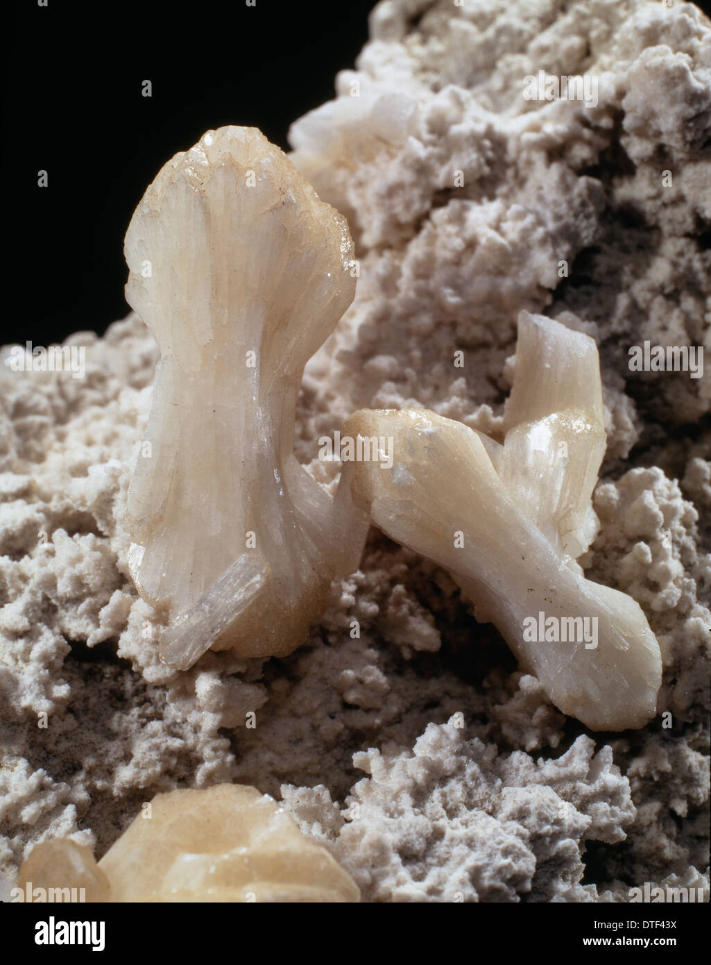 Zeolite museum hi-res stock photography and images - Alamy