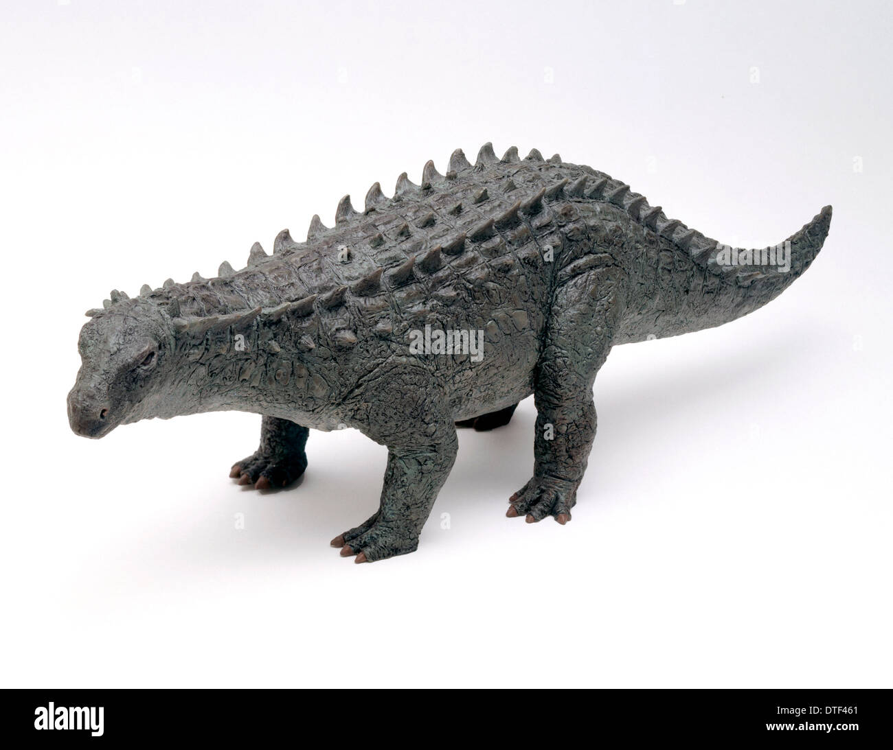 Scelidosaurus hi-res stock photography and images - Alamy