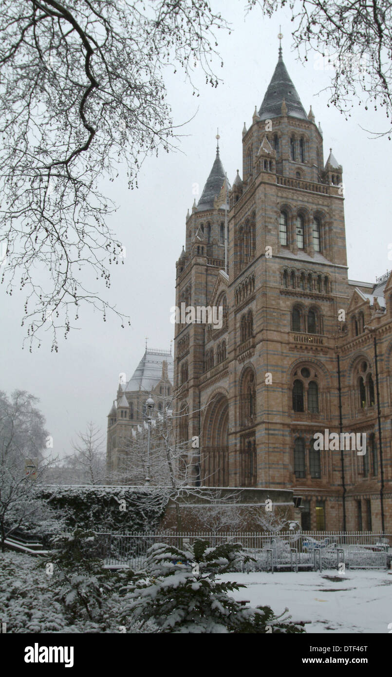 Waterhouse' hi-res stock photography and images - Alamy