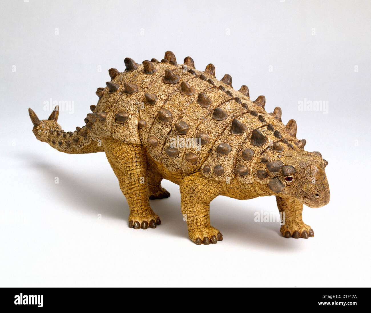 Anodontosaurus hi-res stock photography and images - Alamy