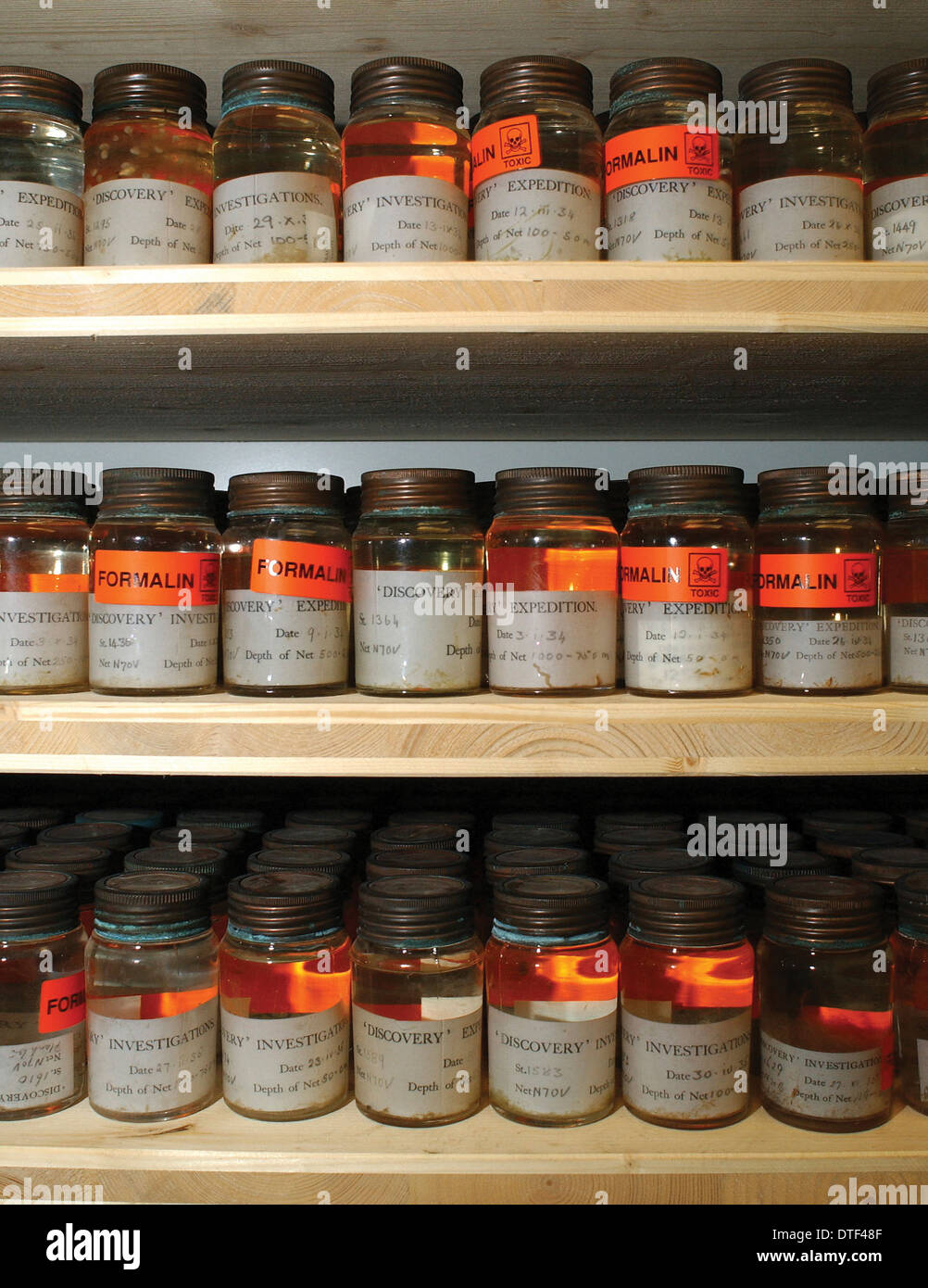 Specimen collections hi-res stock photography and images - Alamy