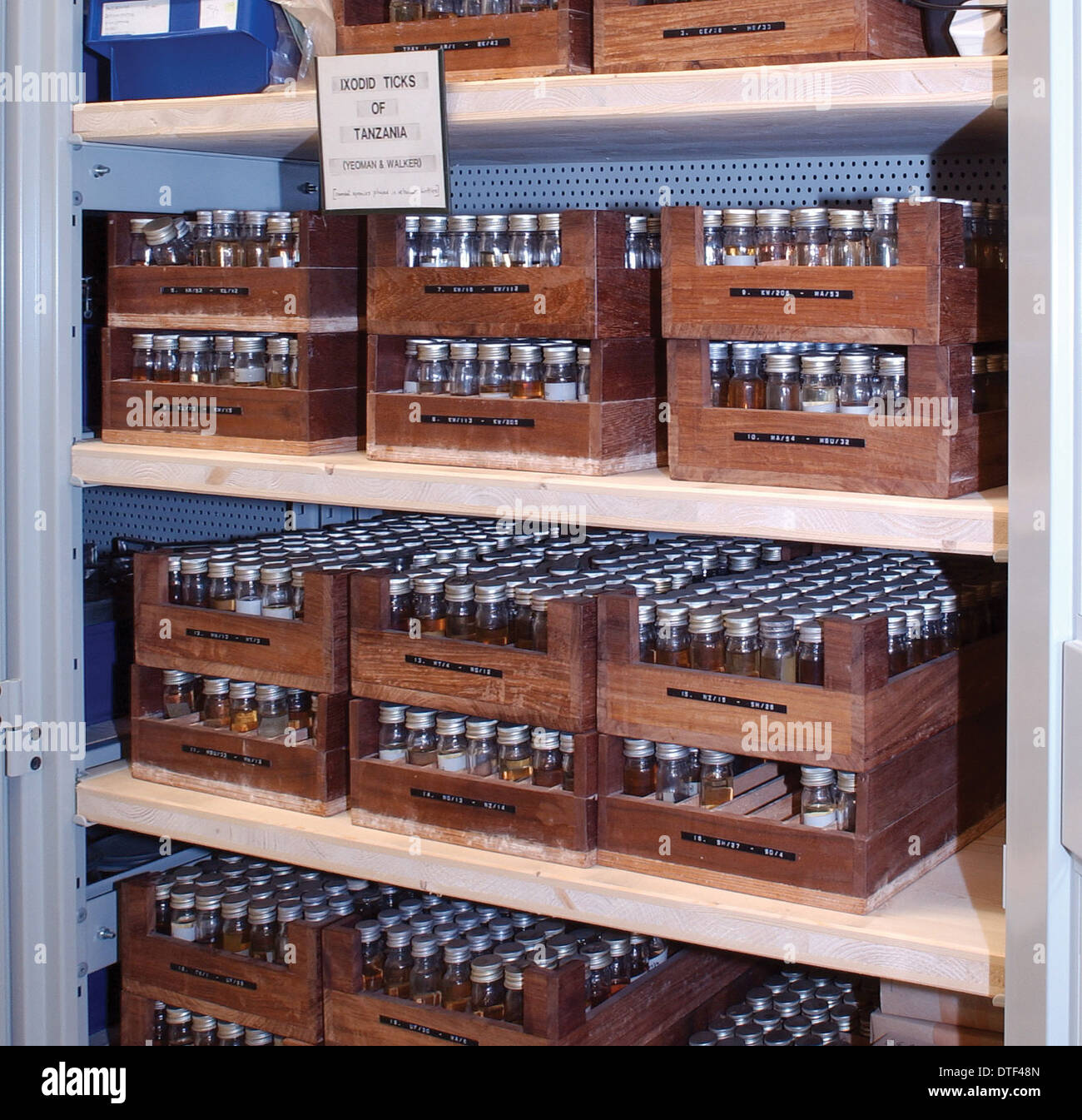 Zoological specimen hi-res stock photography and images - Alamy