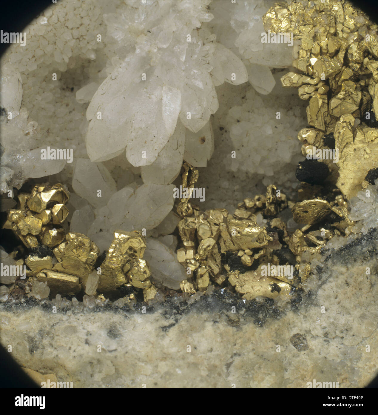 Gold specimen hi-res stock photography and images - Alamy