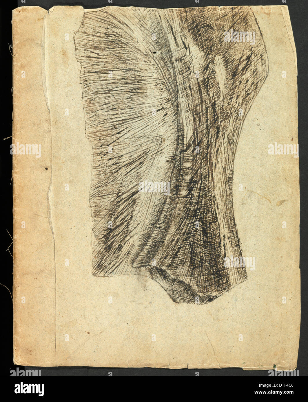 Mary anning drawing hi-res stock photography and images - Alamy