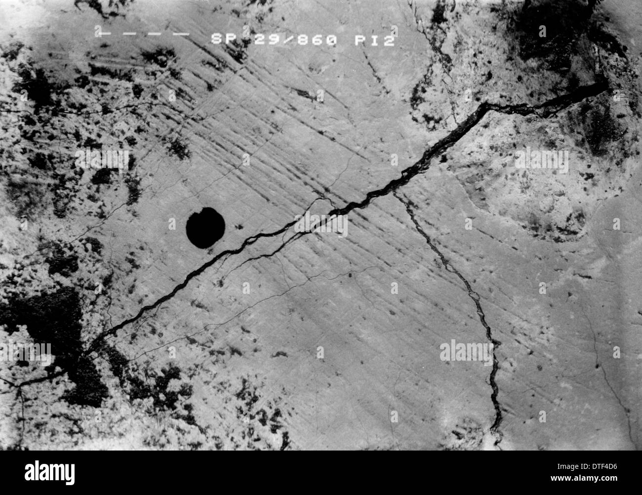 Piltdown 1 molar Stock Photo - Alamy