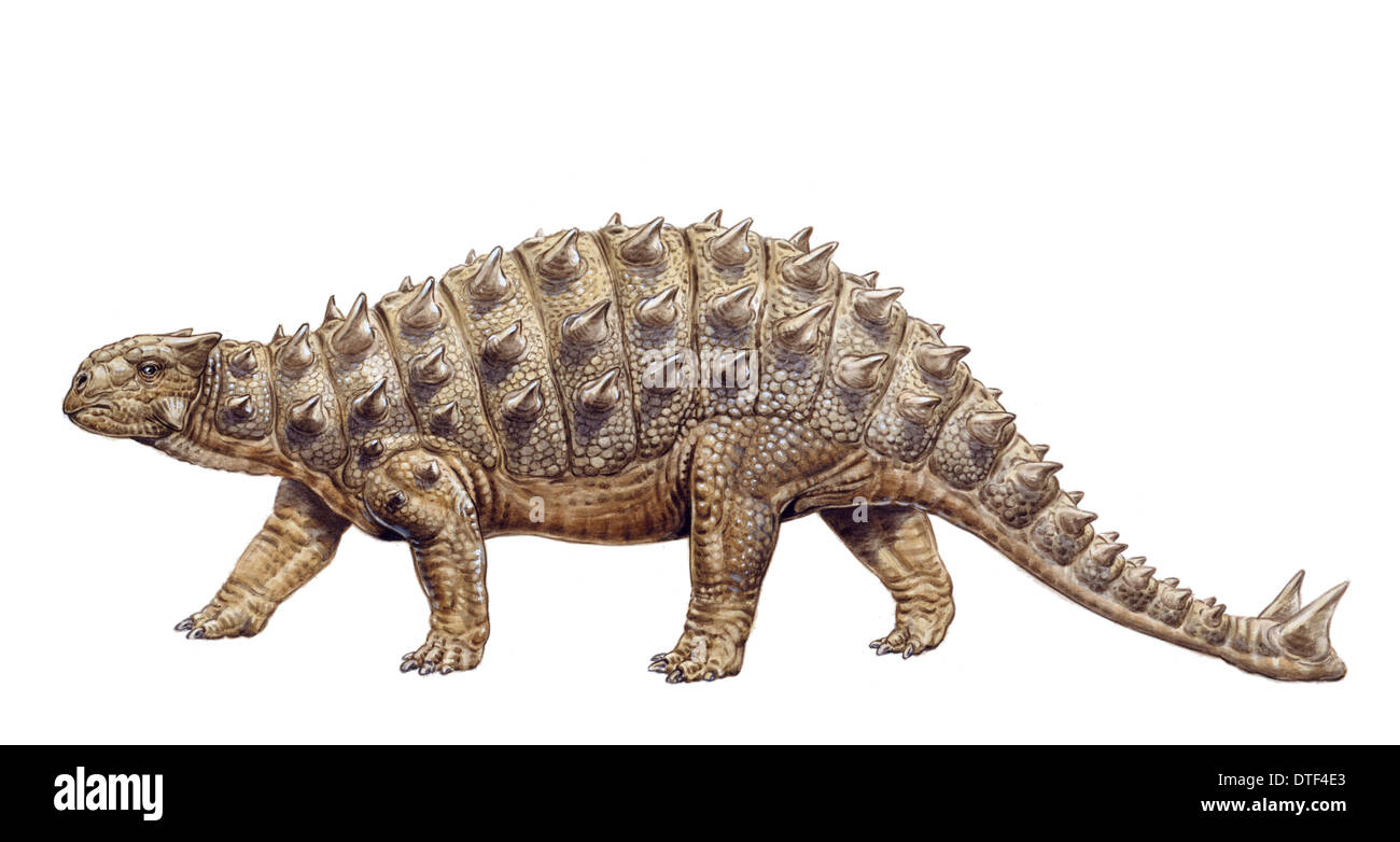 Scolosaurus hi-res stock photography and images - Alamy