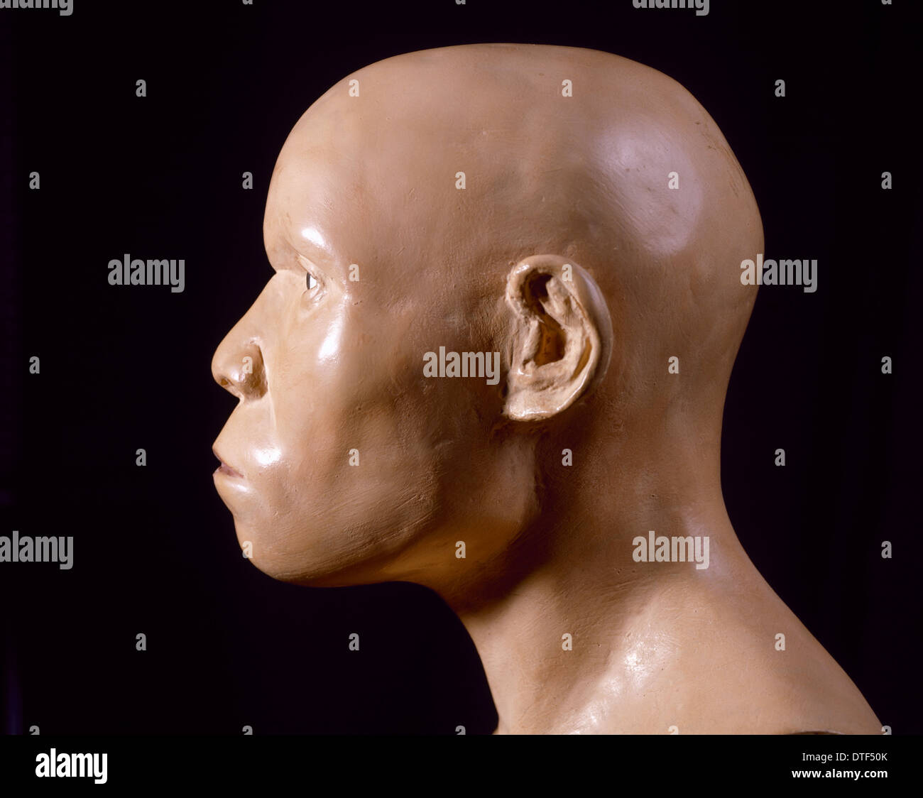 1987 model hi-res stock photography and images - Alamy