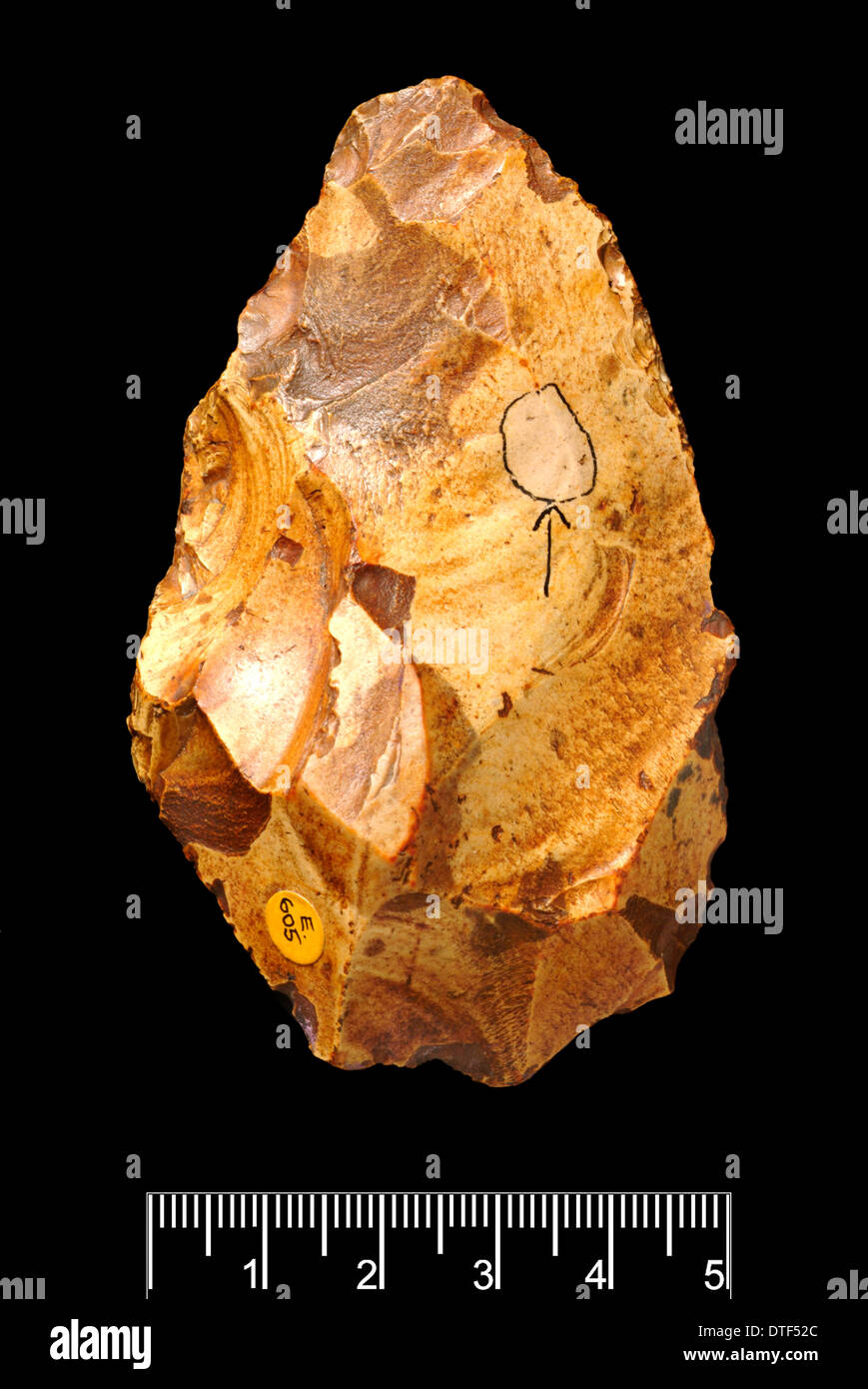 Piltdown man sussex hi-res stock photography and images - Alamy