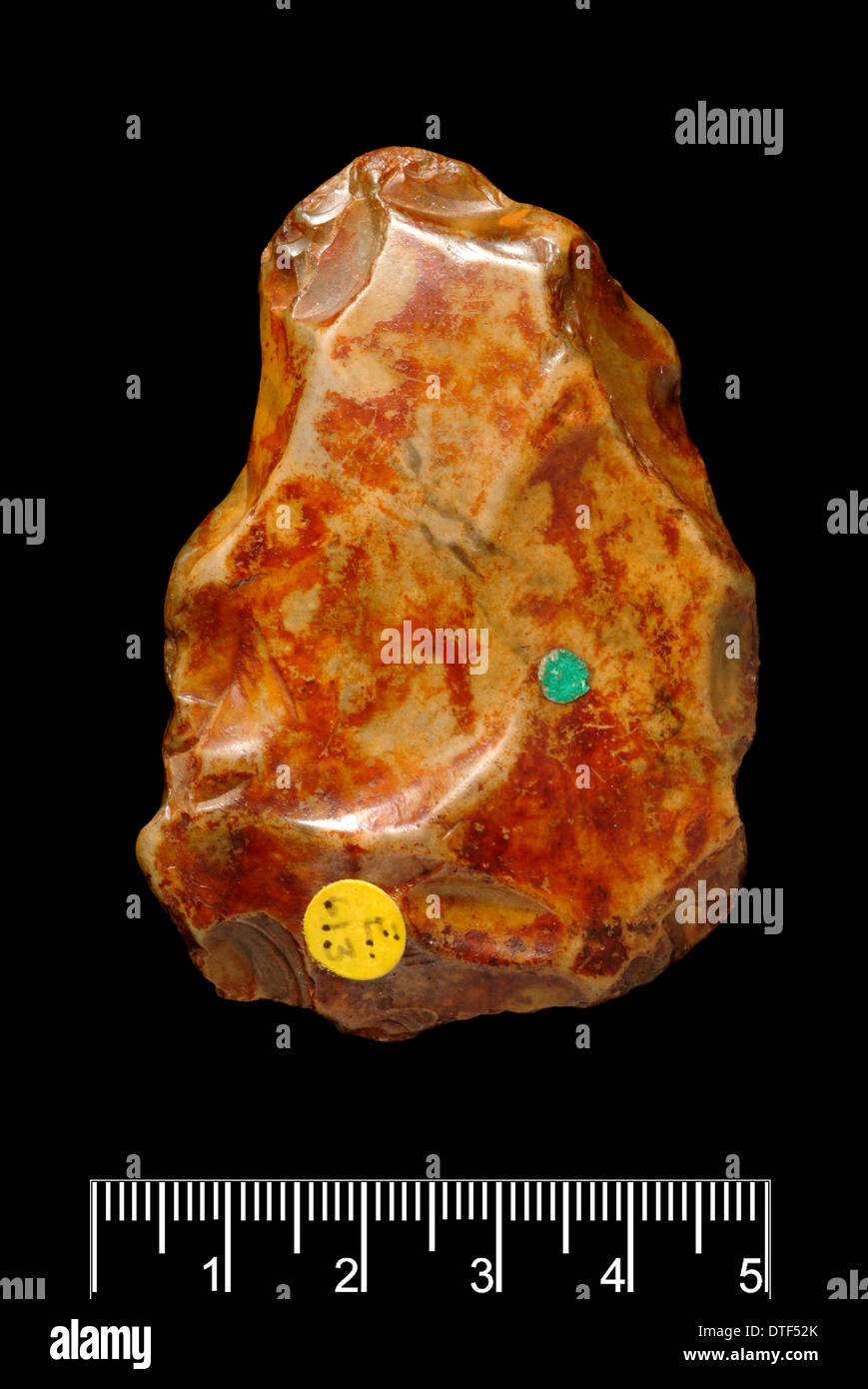 Piltdown hoax hi-res stock photography and images - Alamy