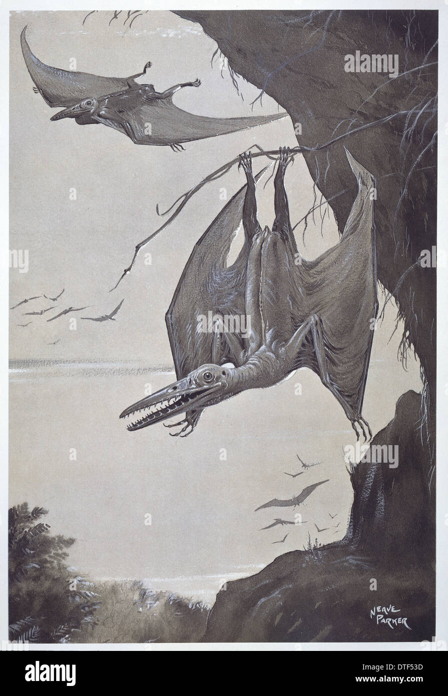 Pterodactyl hi-res stock photography and images - Alamy