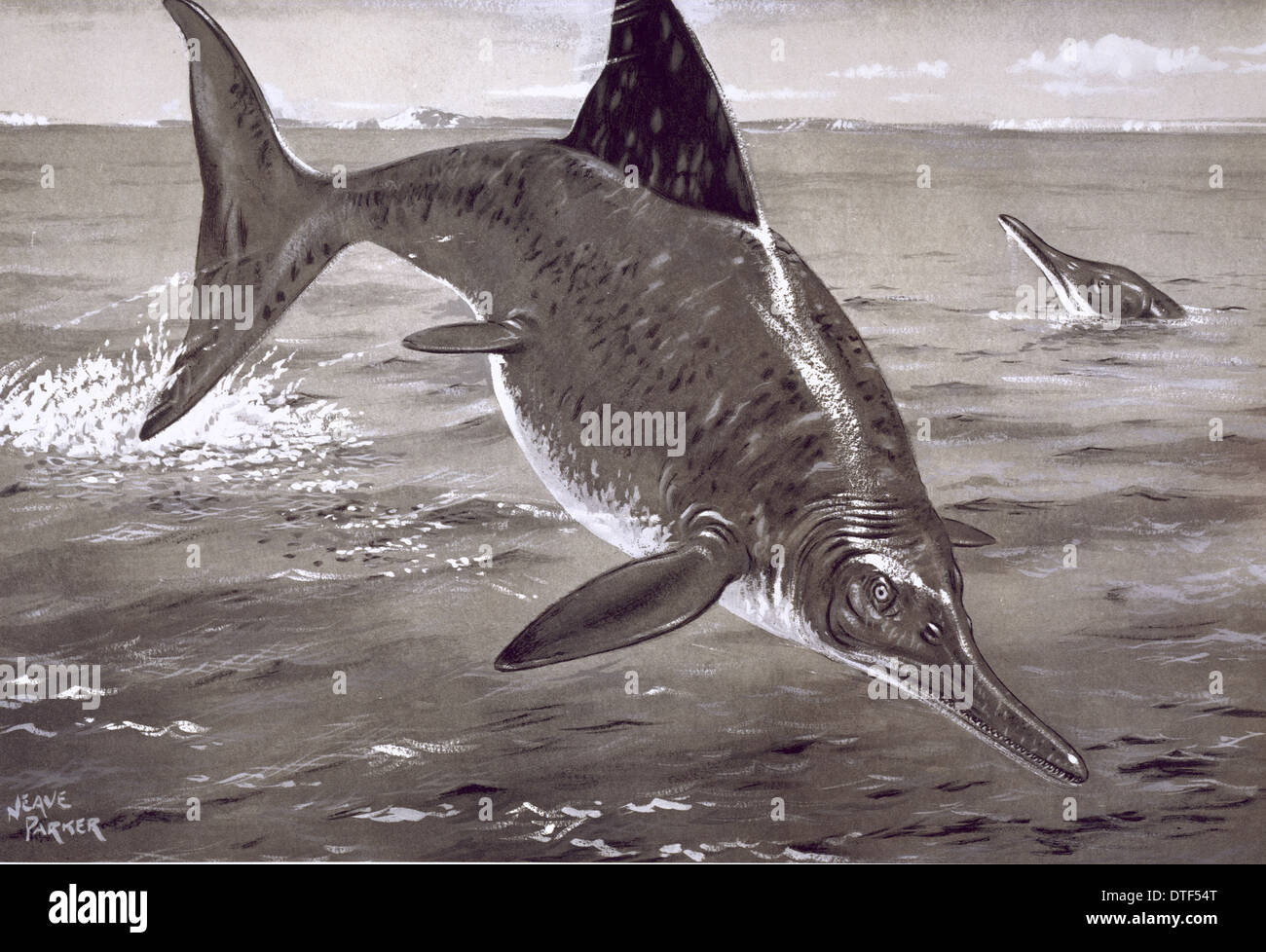 Ichthyosaur hi-res stock photography and images - Alamy