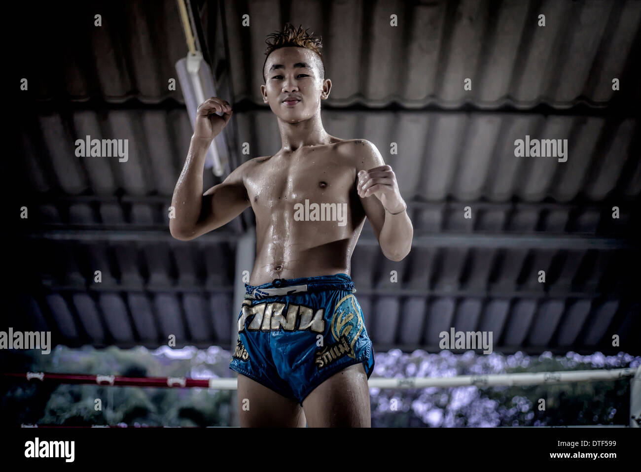 Muay Thai kick boxer portrait. Thailand S. E. Asia Stock Photo - Alamy