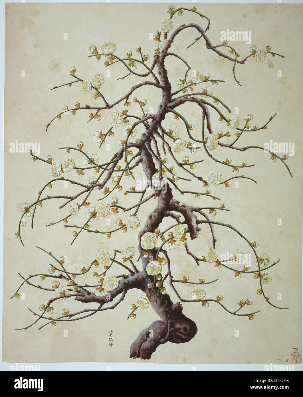 John reeves plant illustration hi-res stock photography and images - Alamy