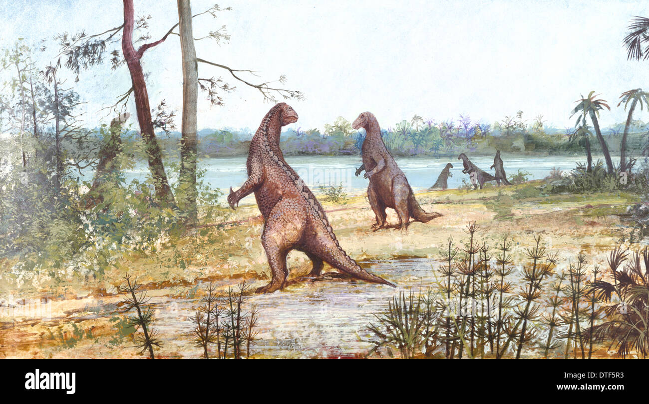 The Iguanodon Stock Photos & The Iguanodon Stock Images - Alamy