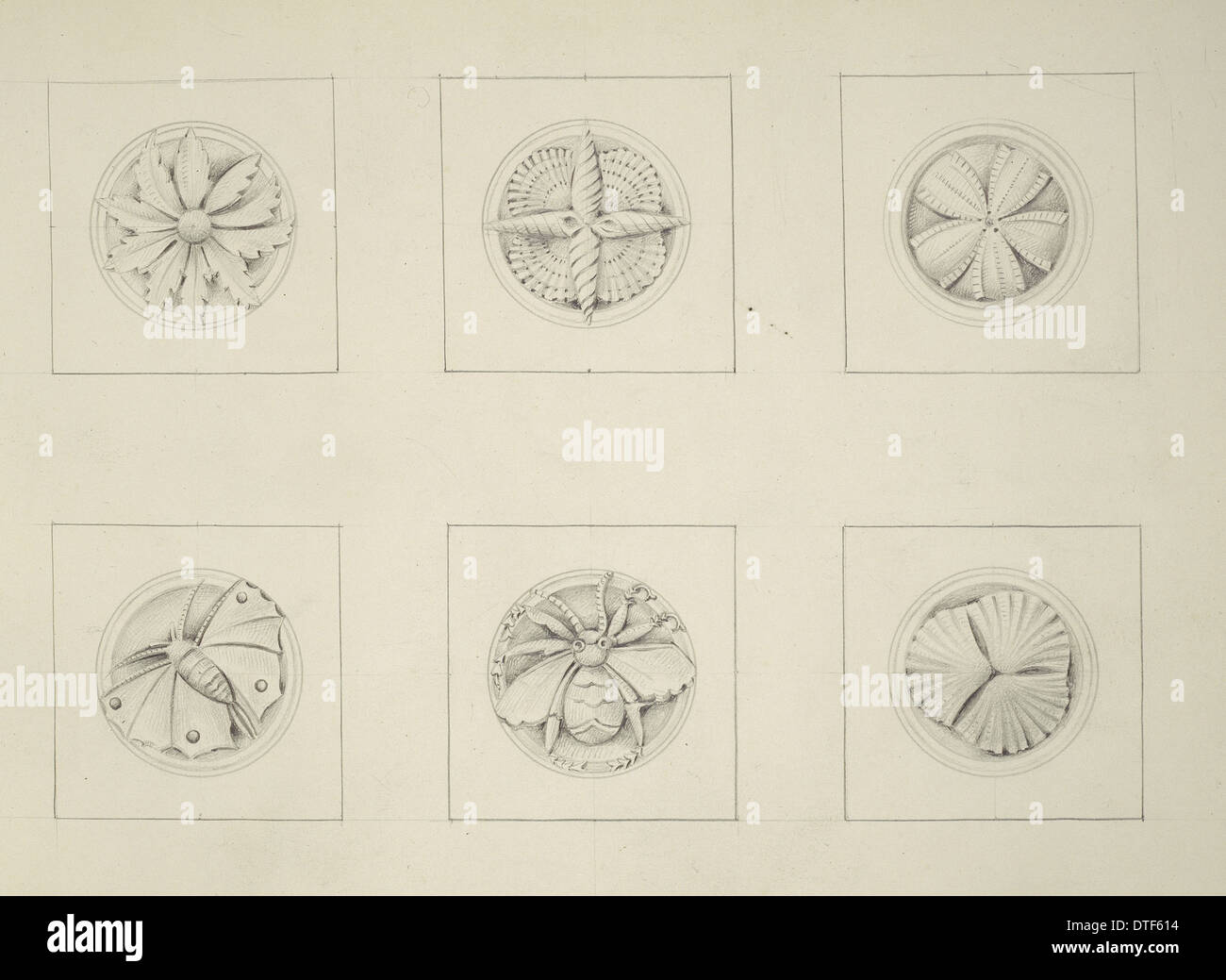 Designs for the Natural History Museum, by Alfred Waterhouse (1830-1905 ...